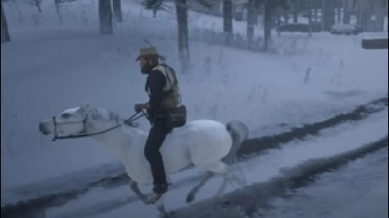 RDR2 - Arthur's gray wolf encouter!! - YouTube