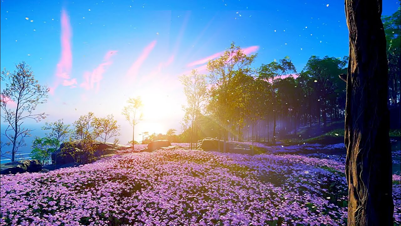 Relaxing Ambience Music - Field of Flowers - YouTube