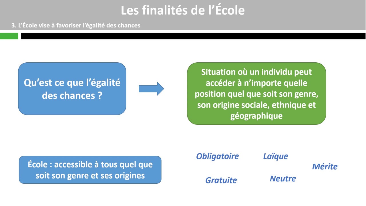 Les finalités de l'Ecole - YouTube