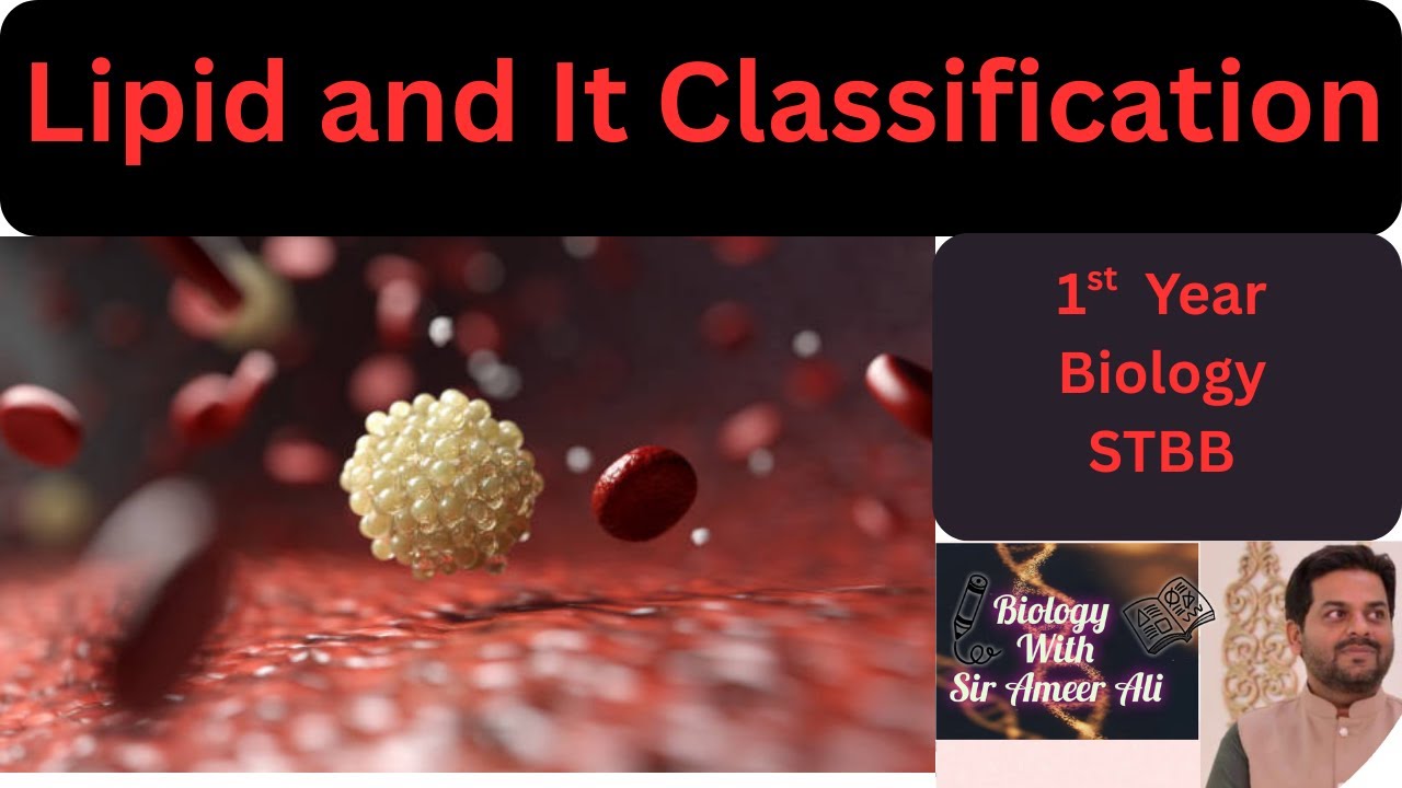 lipids and classification of lipids part 1, 1st year biology STBB - YouTube