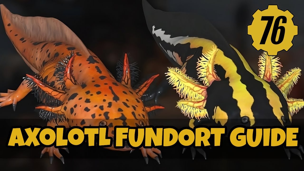AXOLOTOL FUNDORT GUIDE - alle Infos - Fallout 76 - Deutsch - YouTube
