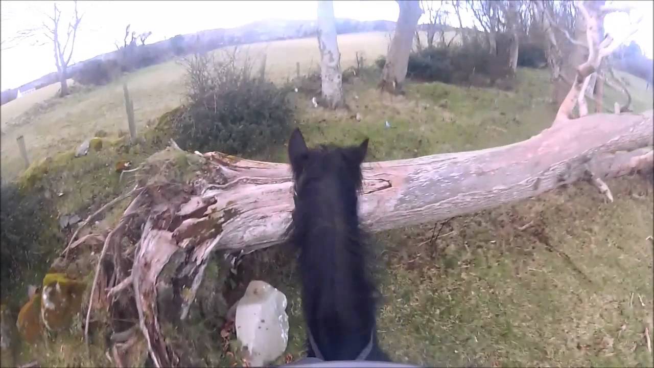 Horsing Around - Hunting Practise @Malin Stables - YouTube