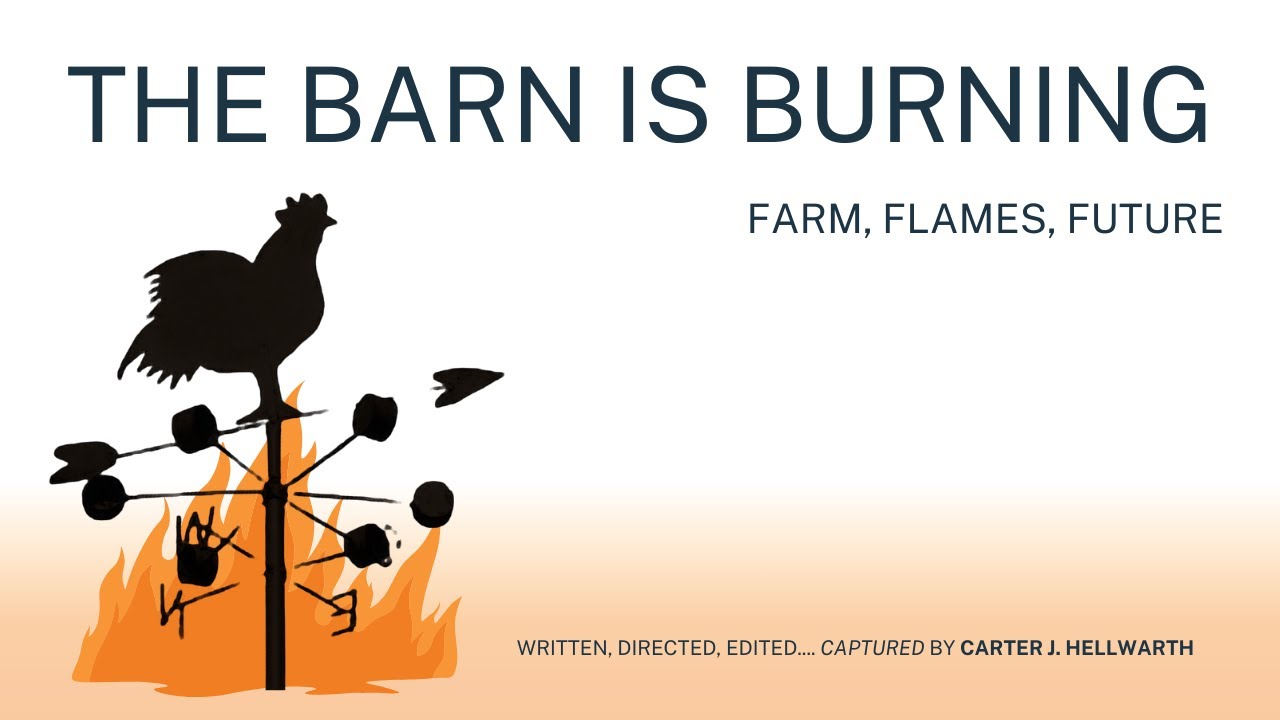 The Barn is Burning | Short Agricultural Documentary, 2024 - YouTube