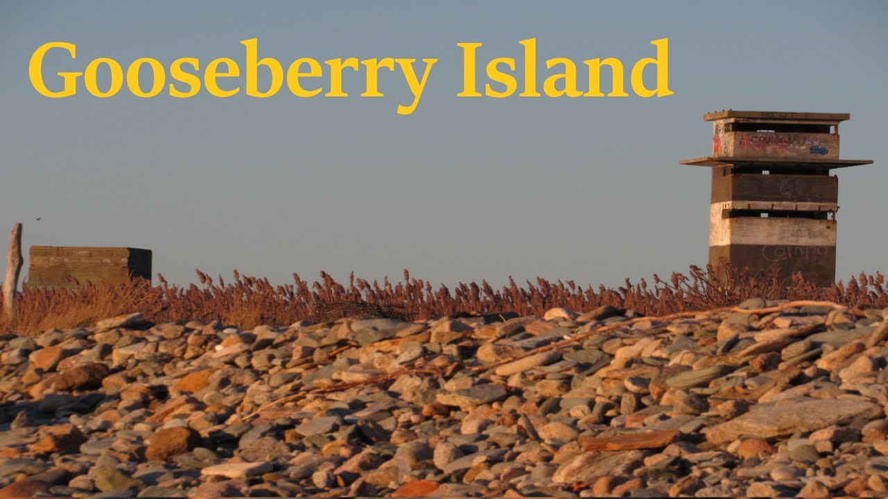 Birding on Gooseberry Island - YouTube