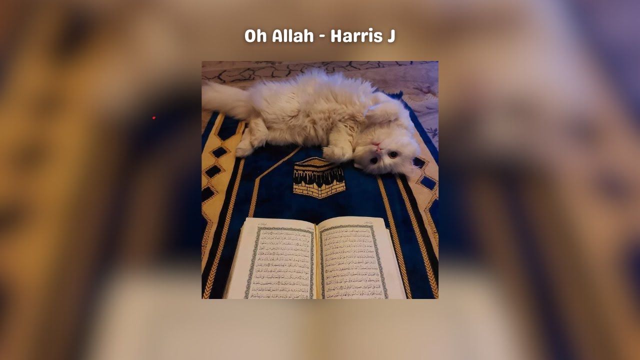 Oh Allah ~ Vocals Only ~ Lyrics ~ Harris J ~ 2024 - YouTube