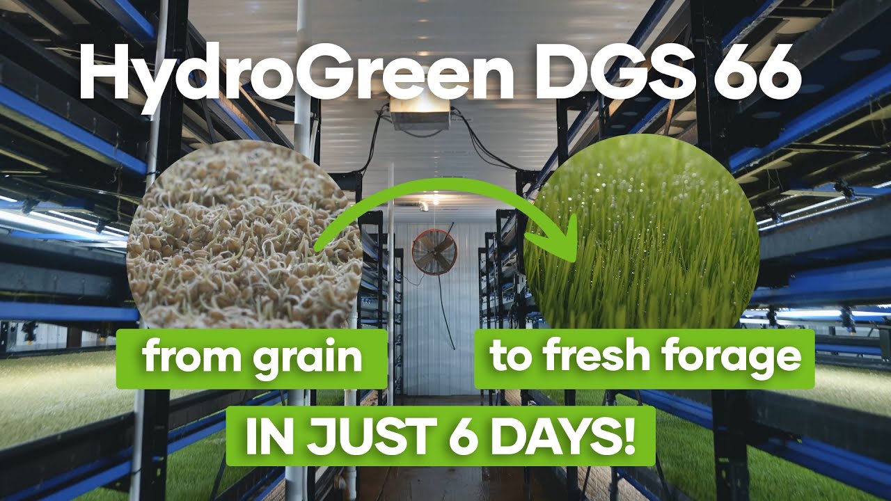 Virtual Tour: HydroGreen’s Automated Vertical Pastures - YouTube
