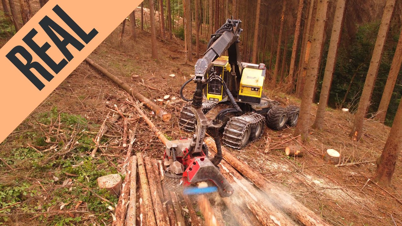 Holzernte nach Amerikanischer Art mit TIMBERPRO TF840-B! 🌲 [HD] - YouTube