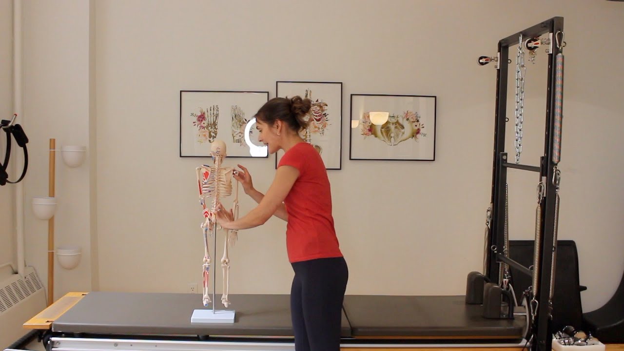 Restorative Pilates: Movements for General Back Pain - YouTube