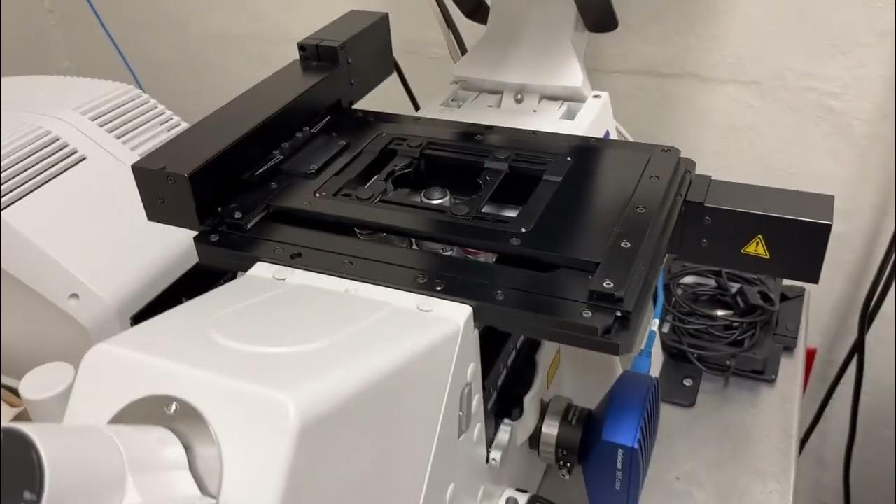 3 Basic microscope controls focusing and moving the stage - YouTube