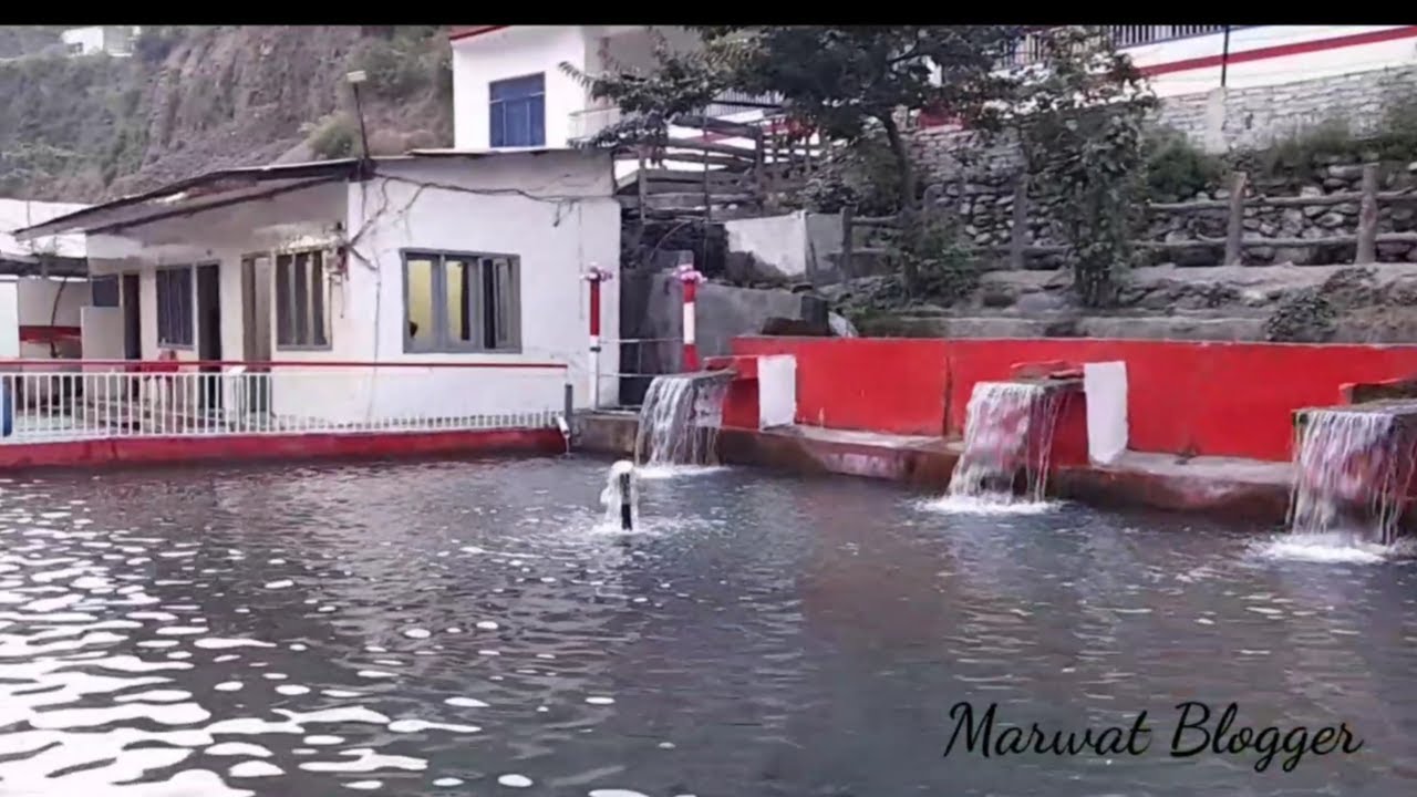 Trout Fish Firm In Swat/Trout fish live cooking(Pakistan) - YouTube