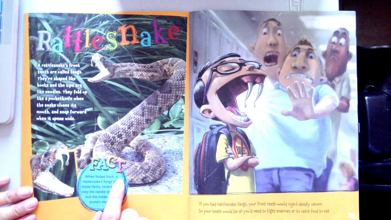 READ ALOUD What if you had animal teeth, - YouTube