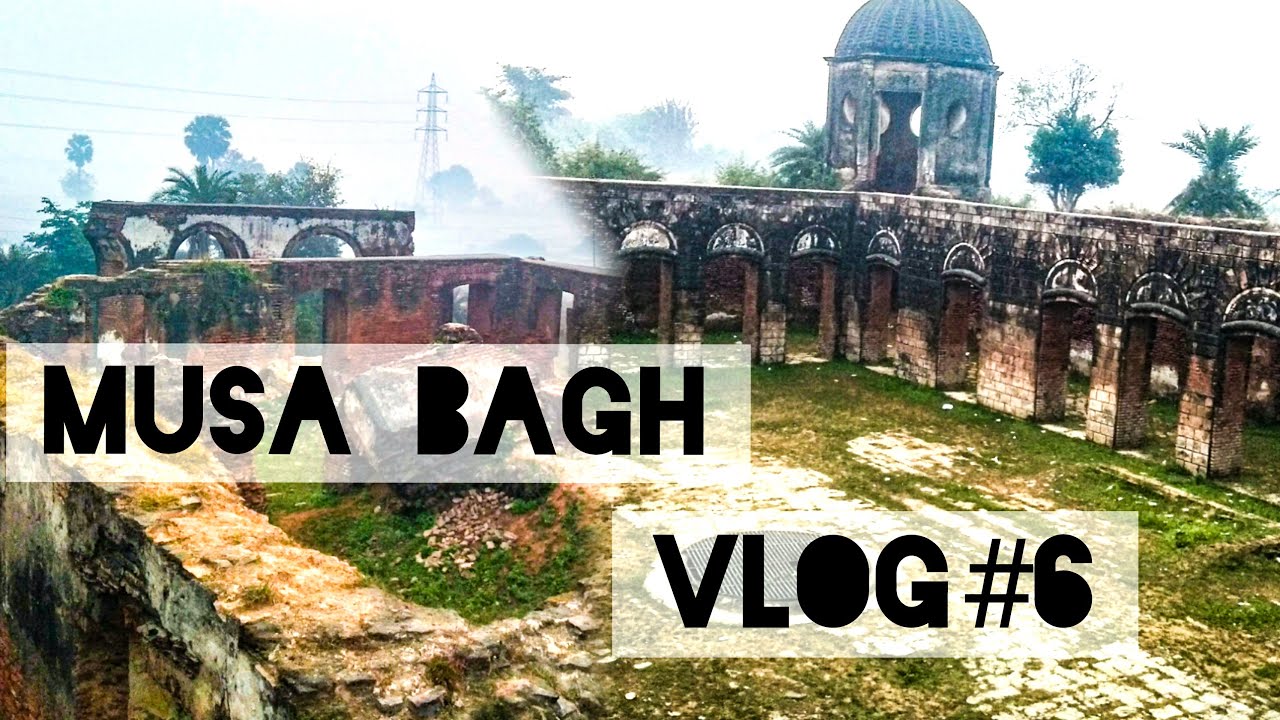 Musa bagh vlog#6 fearless lion - YouTube