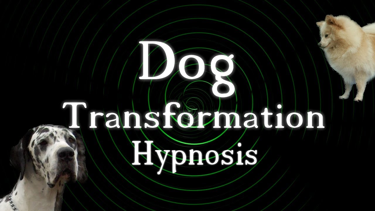 Hypnosis - Dog Transformation - YouTube