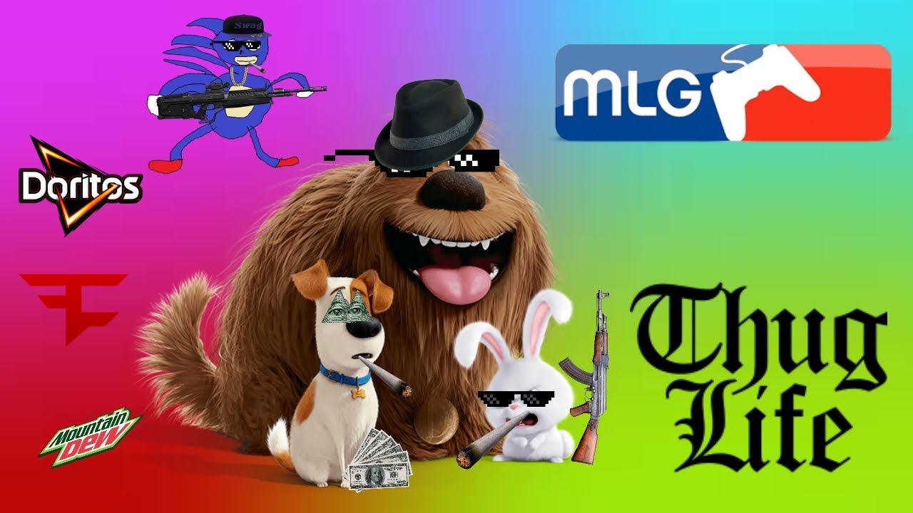 MLG The Secret Life of Pets - YouTube