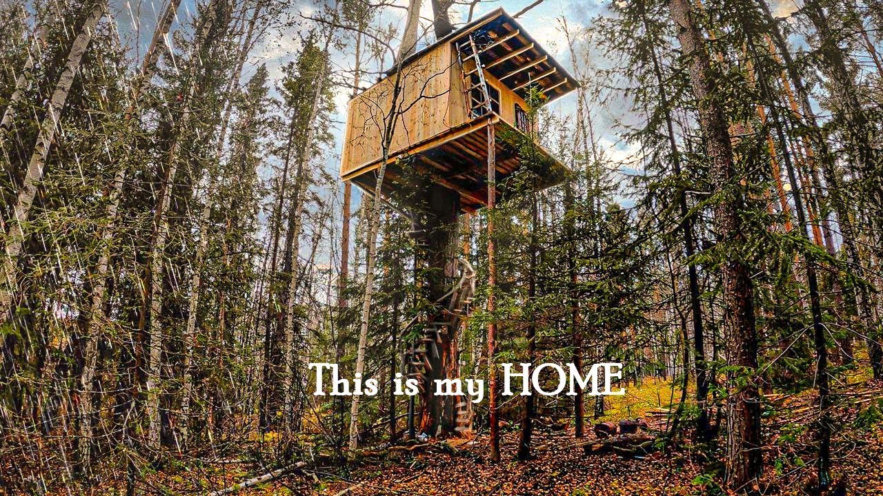 Tall Tree House