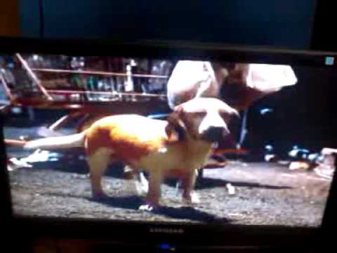 Disney's Underdog: Shoeshine meets Riff Raff! - YouTube