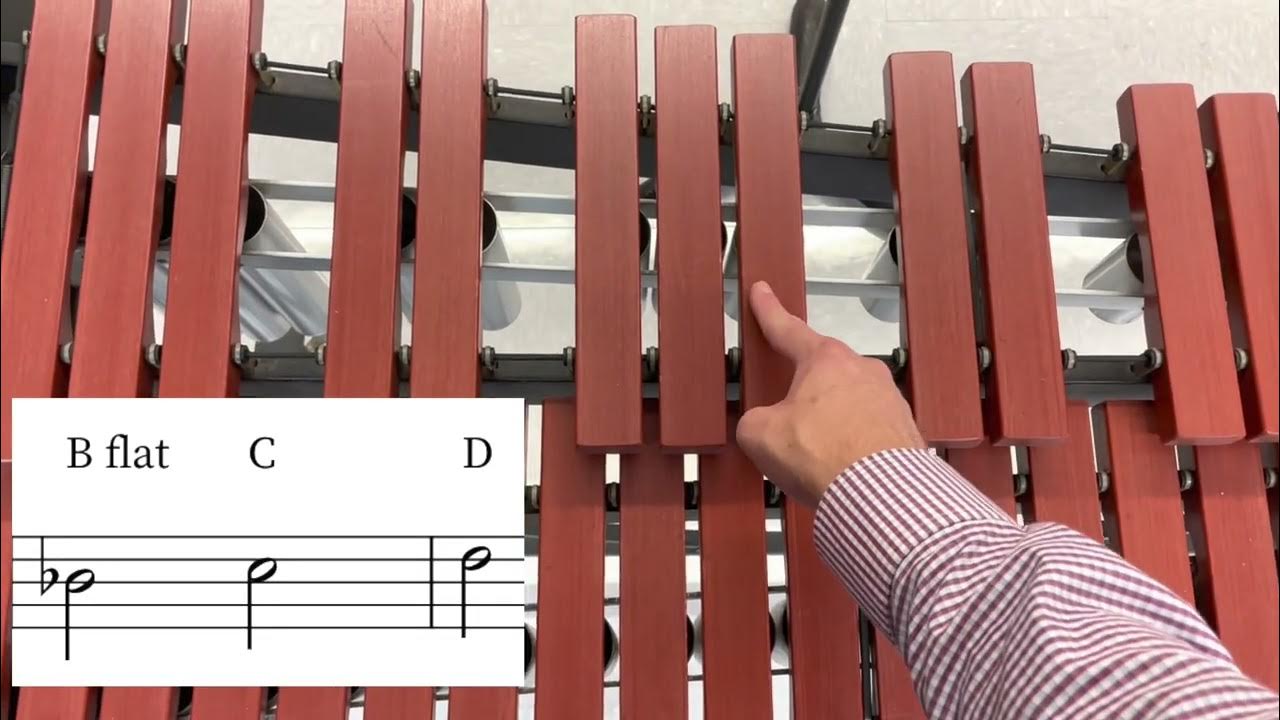 Warm up 2 Scale Builder for Xylophone - YouTube