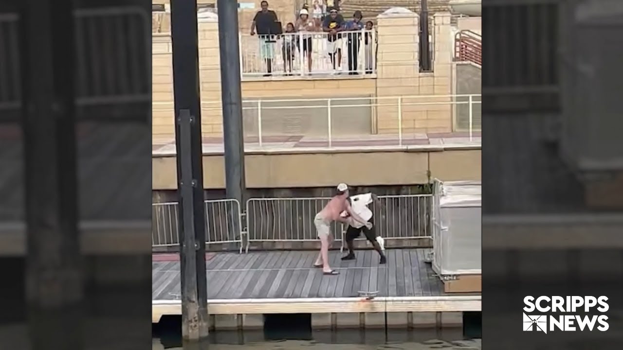 Here's what really happened with the Alabama riverfront dock brawl ...