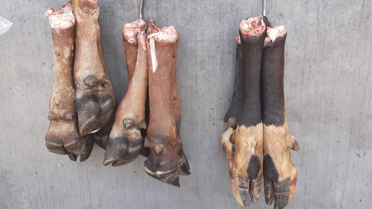 Amazing Cow Legs Cutting Technique | Best Paya Cutting Skills By Expert ...