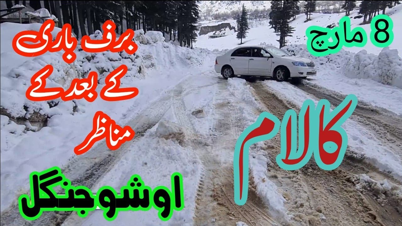 Winter Wonderland: Stunning Views of Kalam and Usho Forest After Heavy ...