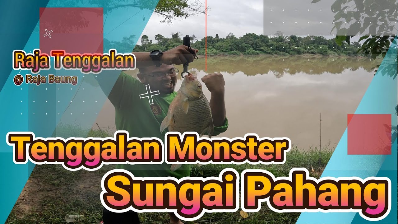 Tenggalan Monster Sungai Pahang - YouTube