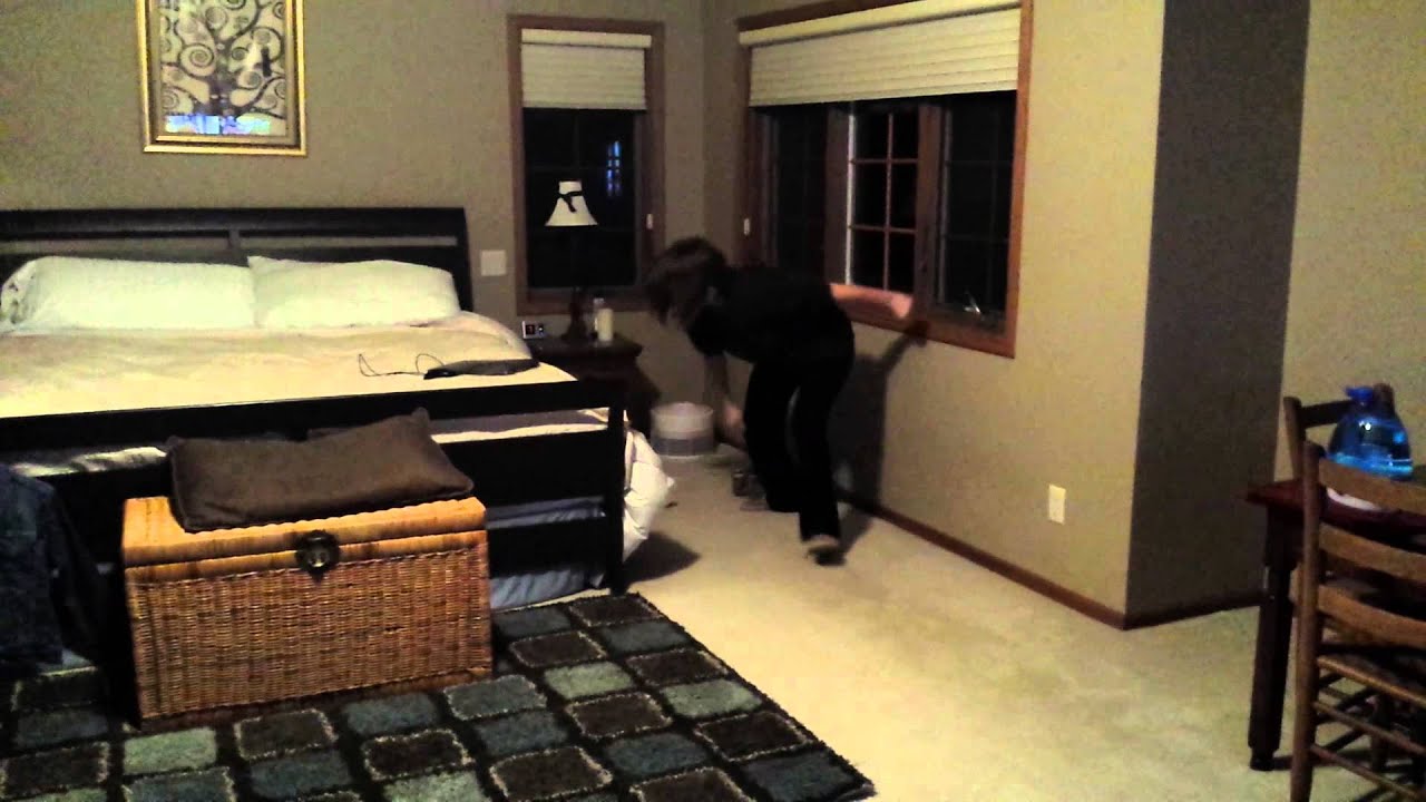 Finnegan the mini pig plays tag with mom - YouTube