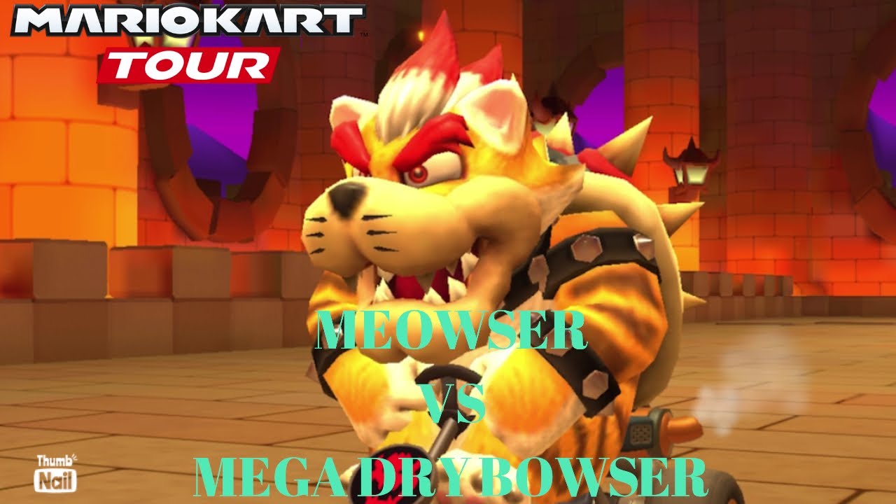 Meowser vs Mega Dry Bowser - YouTube