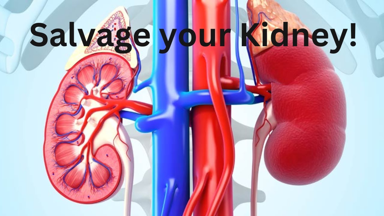 How to Prevent Kidney Diseases and Failure: Simple Steps to Keep your ...