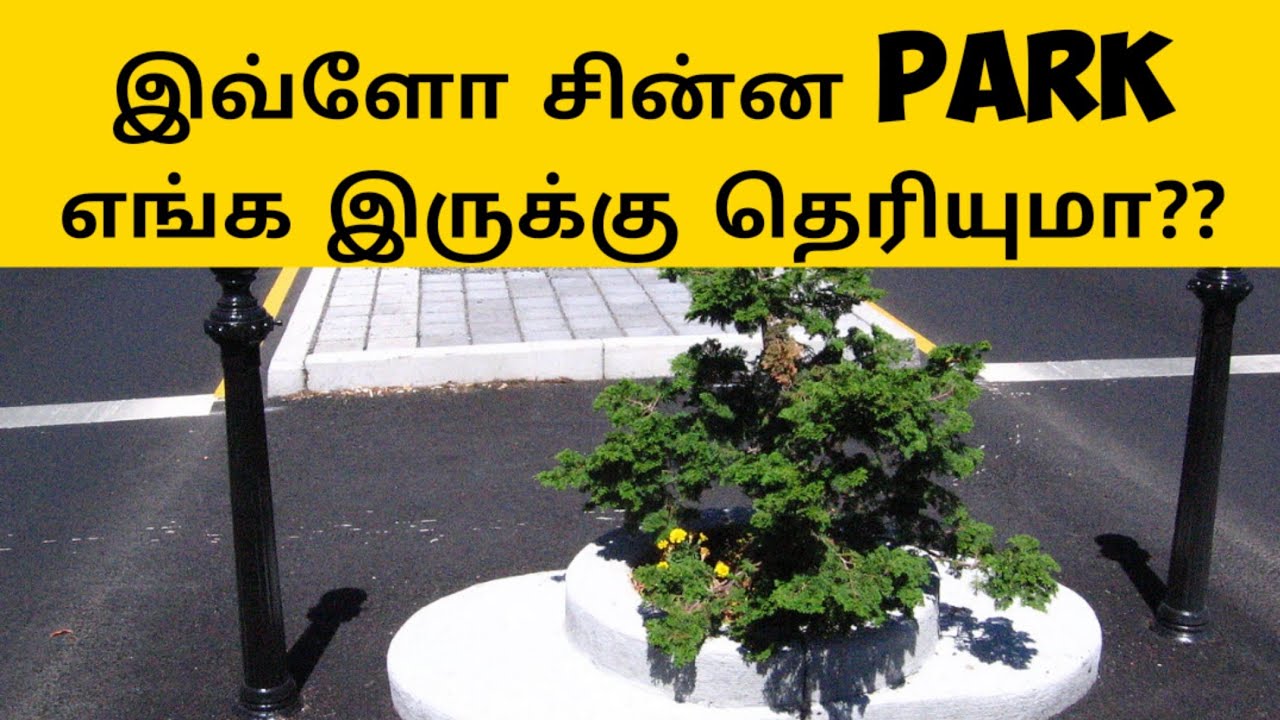 facts Interesting Facts In Tamil Unknown Facts In Tamil Amazing Facts facts-interesting-facts-in-tamil-unknown-facts-in-tamil-amazing-facts