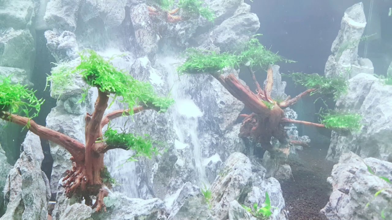 4번째 모래폭포 My aquarium Waterfall (sand fall) - YouTube