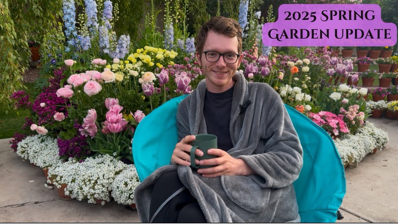 Planning late spring/ early summer color in the container garden! 🪴 ...