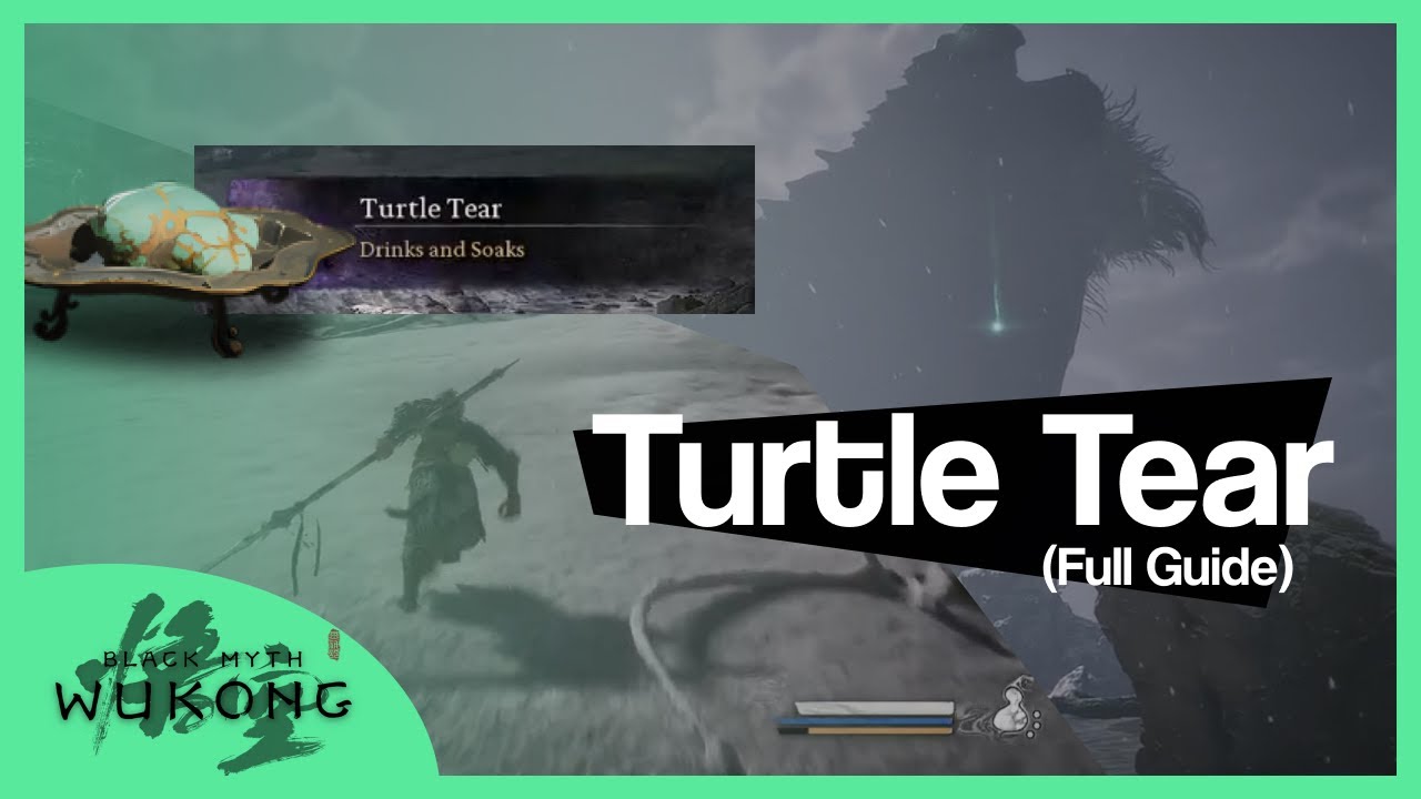 Black Myth: Wukong | Turtle Tear (Full Guide) - Mana Upgrade - YouTube