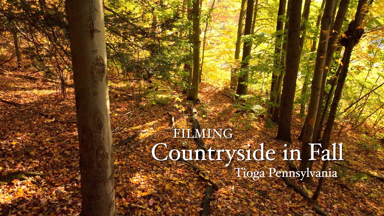FILMING the Pennsylvania Countryside in the Height of Fall Color near ...