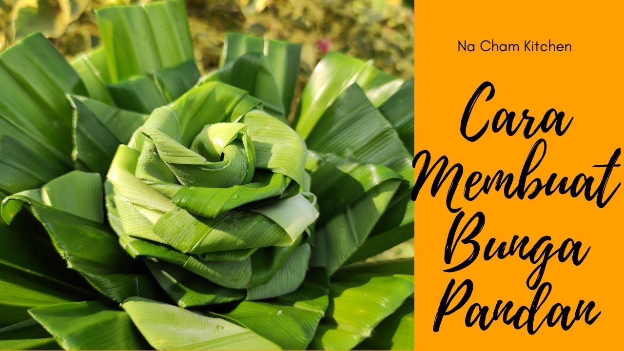 Cara Membuat Bunga Ros Daun Pandan - YouTube