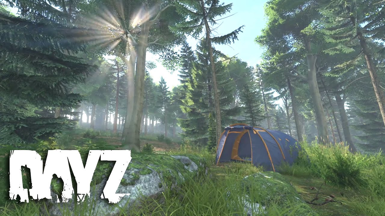 1 Hour of DayZ - Relaxing Nature & Forest Rain - YouTube