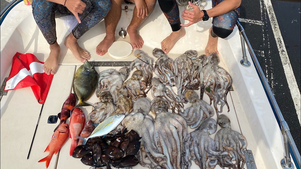 Eastside Oahu Spearfishing - YouTube