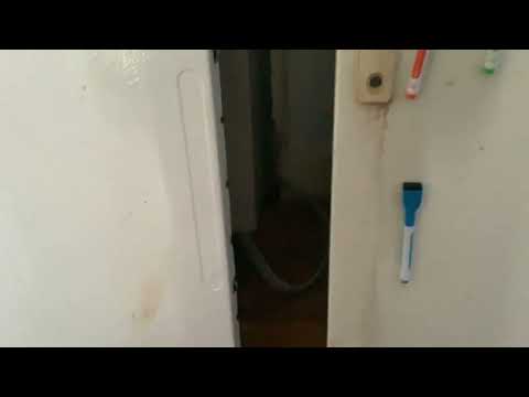 Scary vents chapter 1 - YouTube