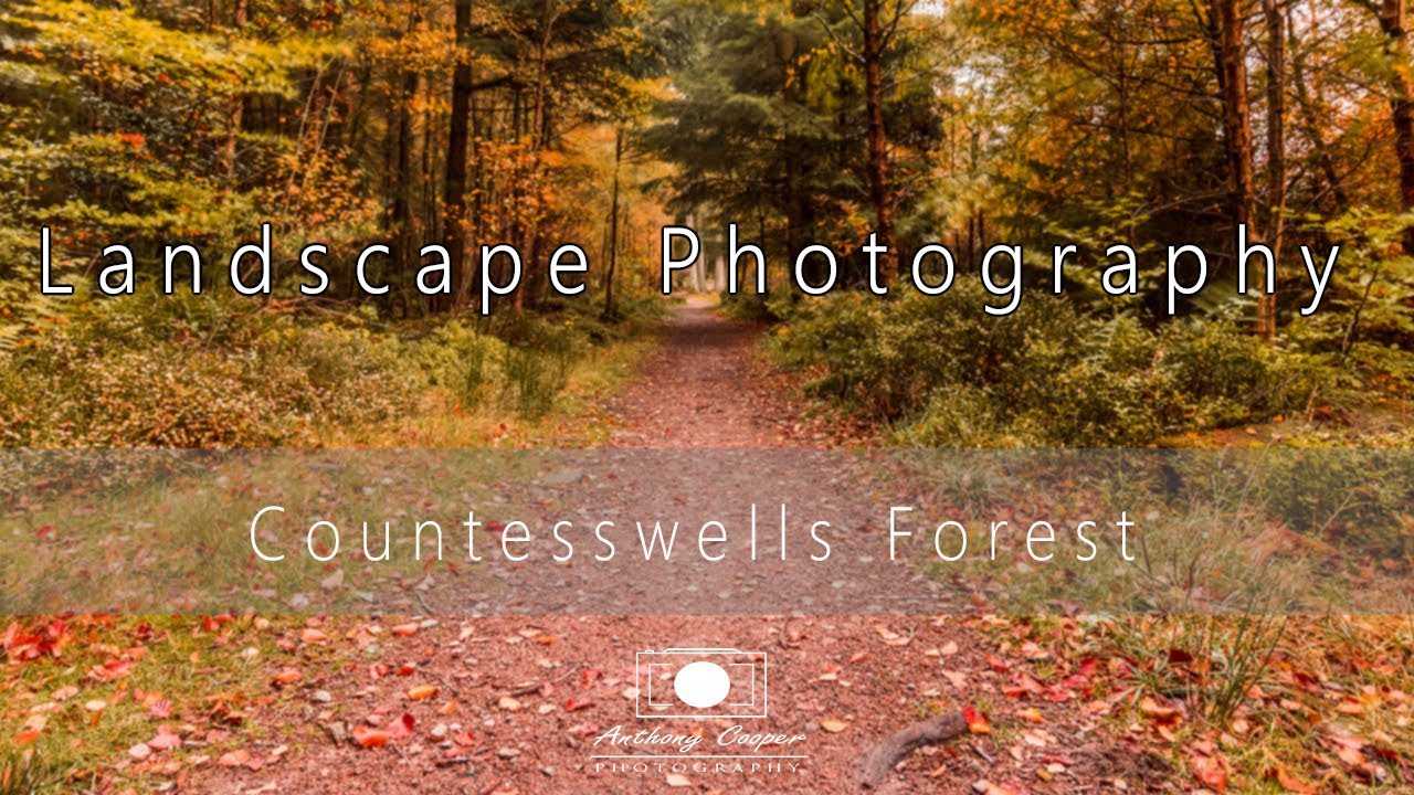 Landscape Photography - Countesswells Forest (Aberdeen, Scotland) - YouTube