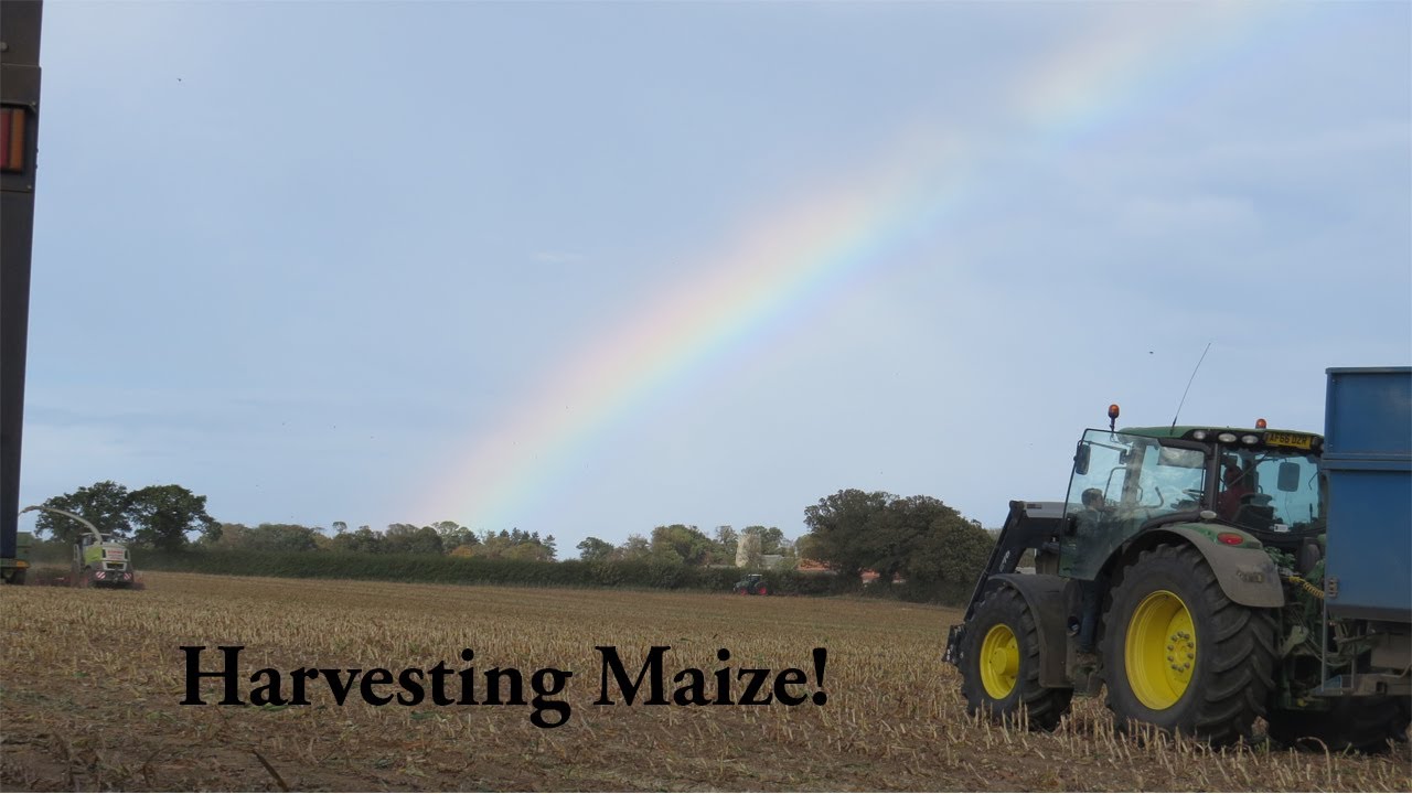 Harvest 2018 - Harvesting Maize! - YouTube