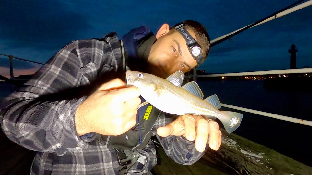 Winter Sea Fishing for Cod - Whitby East Pier | The Fish Locker - YouTube