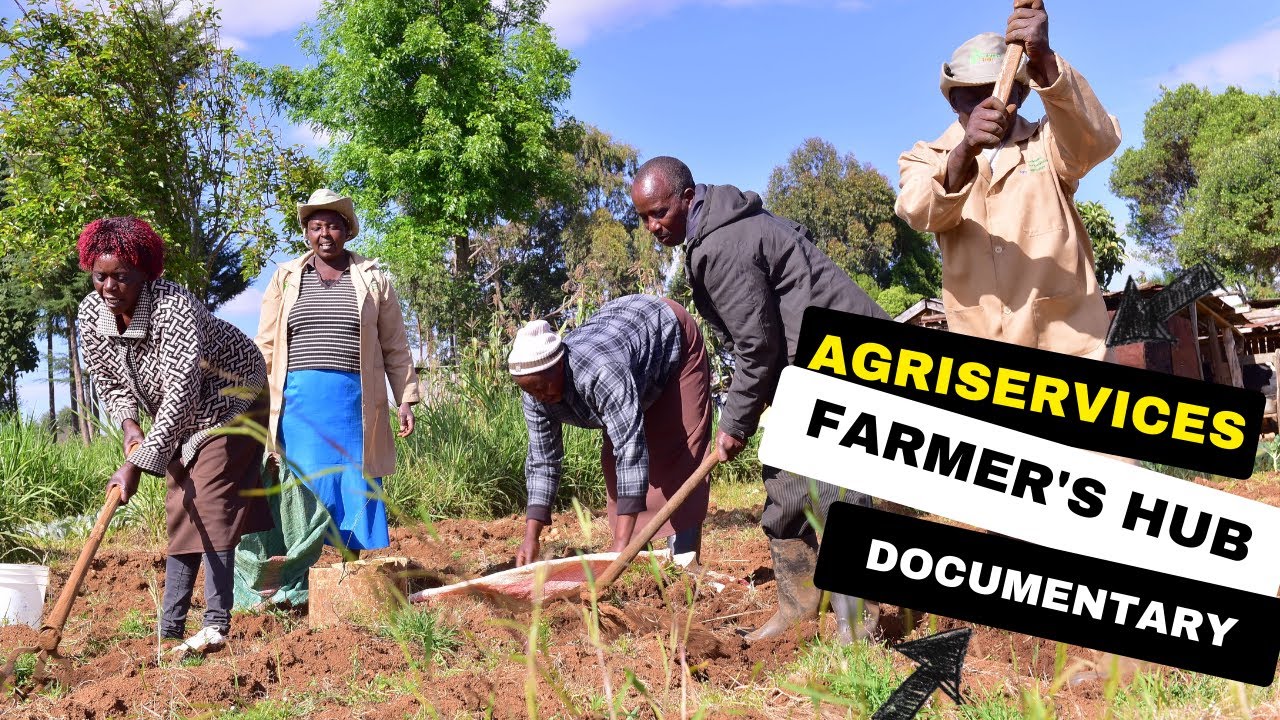 Agriservices Farmer's Hub in Kenya – Full documentary - YouTube