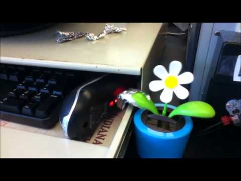Computer mouse moved by Solar flower - YouTube