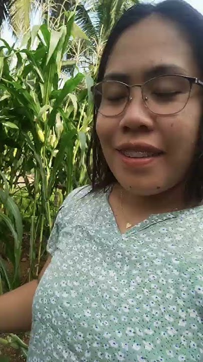 Got A Sweetcorn Yummy Sweetcorn Youtube