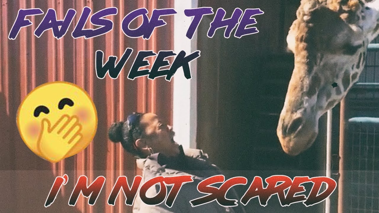 Don't even try to laugh Funny People getting scared of animals ...