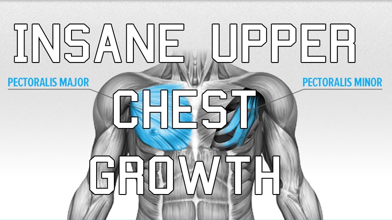 How to GROW your upper chest - Best Exercises for a BIGGER chest FST 7 ...