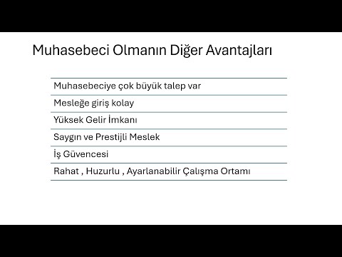 Muhasebe Mesleği ve Muhasebeci Olmak Üzerine Gözlemlerim , Düşüncelerim -Bölüm 2