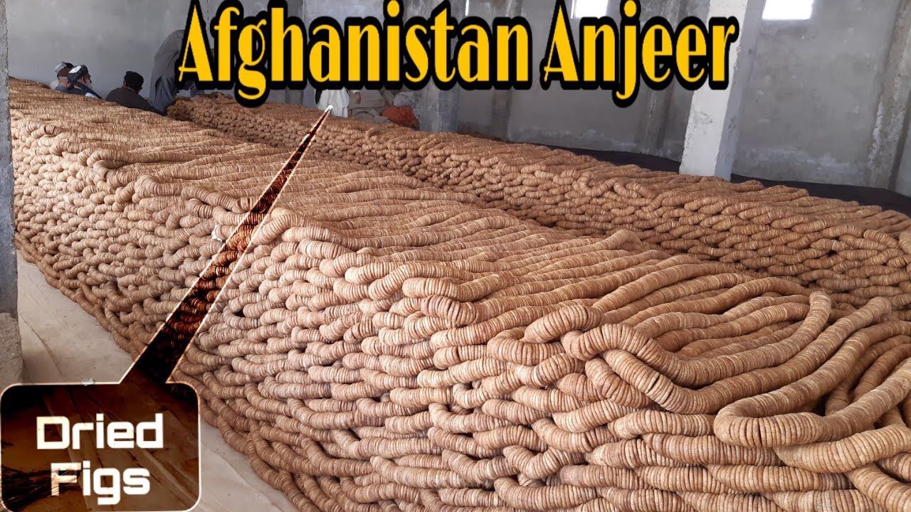 Afghanistan dried figs|Afghanistan Anjeer| - YouTube