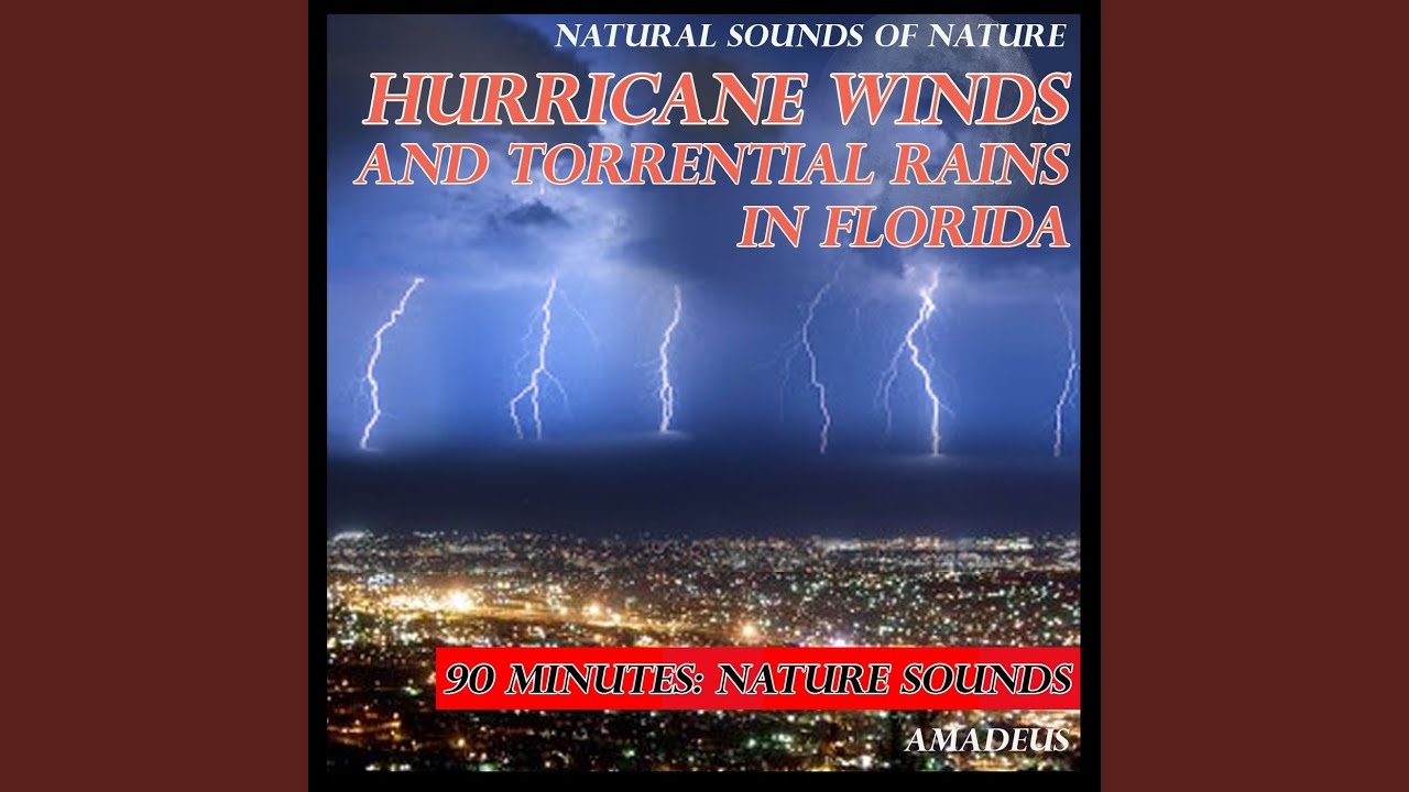 Hurricane Winds and Torrential Rains in Florida: Natural Sounds of ...