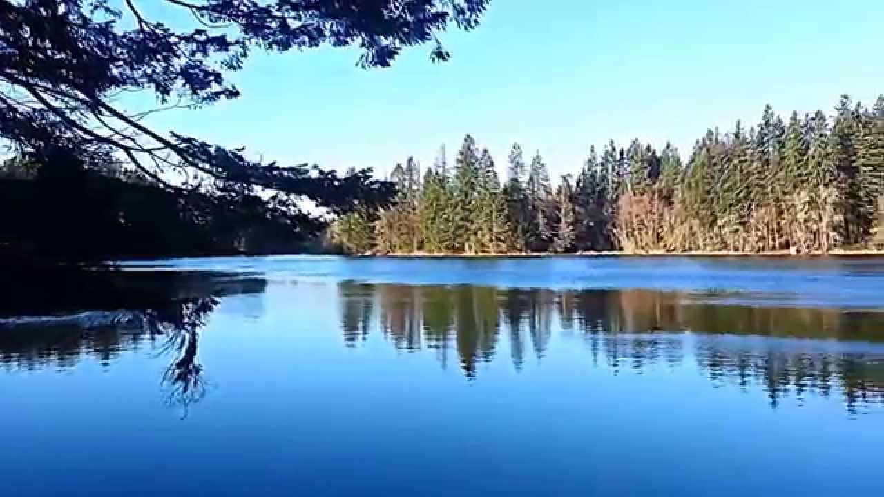 Hike Lacamas Park, Washington. - YouTube