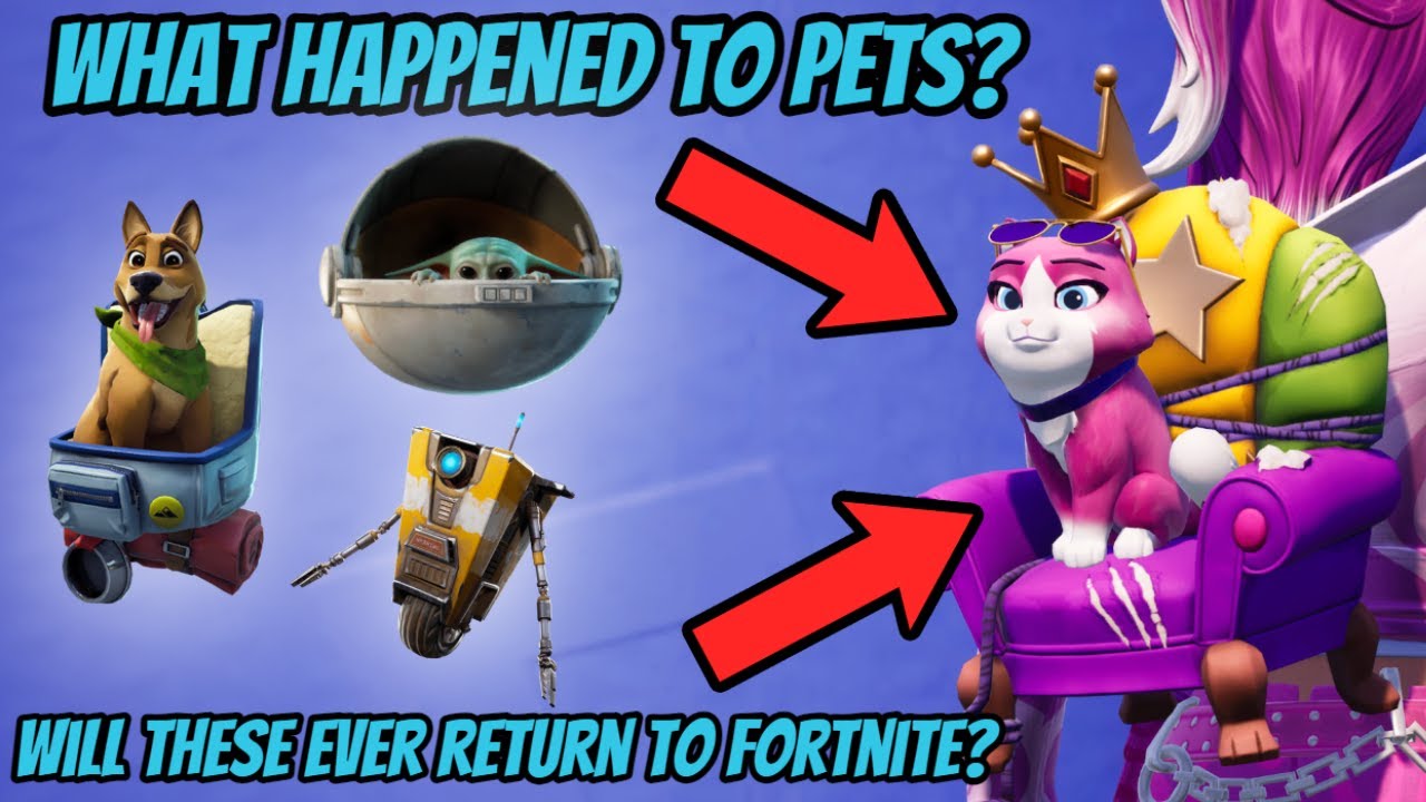 What Happened To Pets in Fortnite? (Fortnite Battle Royale) - YouTube